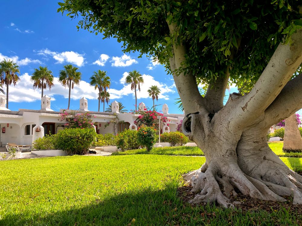 sweet place… Foto & Bild | architektur, europe, canary islands die ...