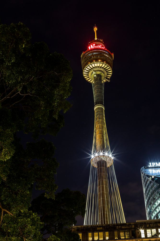 sydney tower Foto & Bild | australia & oceania, australia, sydney ...