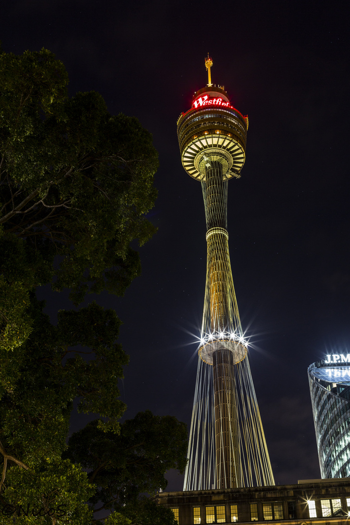 sydney tower Foto & Bild | australia & oceania, australia, sydney ...
