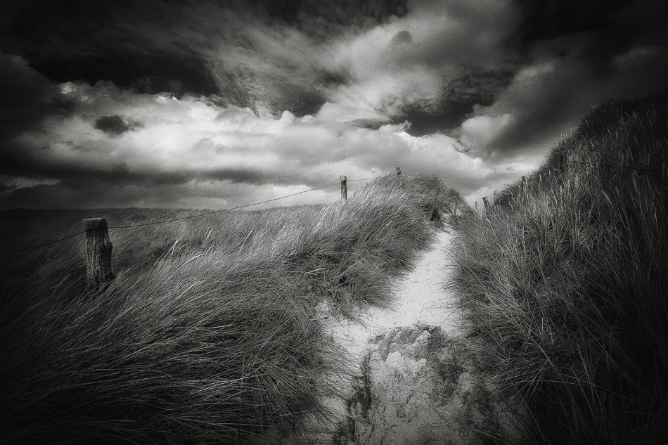 SYLT- Dünen und Wind Foto & Bild | fotokunst, monochrome fine art, sylt ...