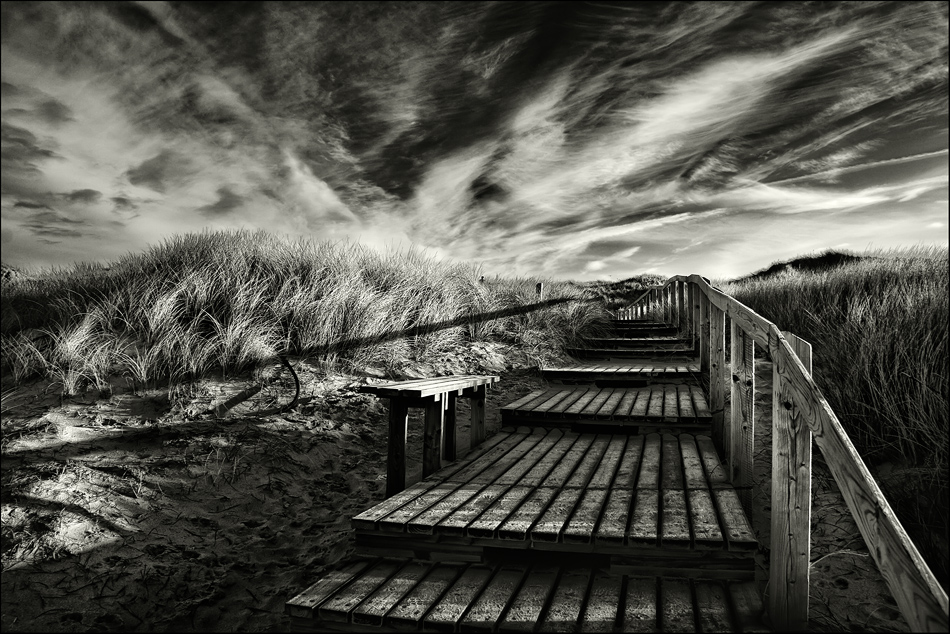 SYLT - In den Dünen Foto & Bild | deutschland, europe, schleswig ...