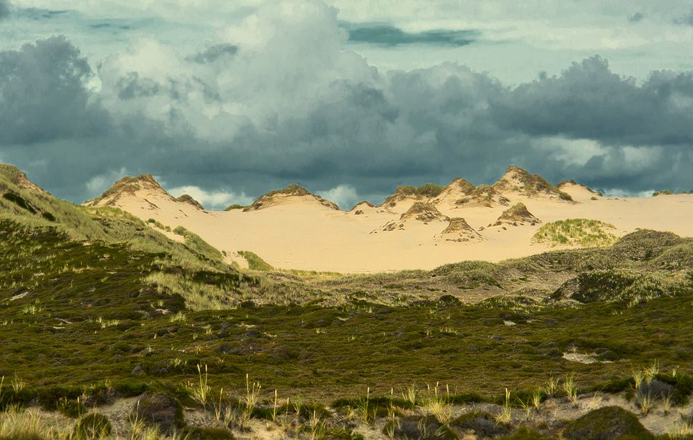 Sylt - Lister Dünen Foto & Bild | deutschland, europe, schleswig ...