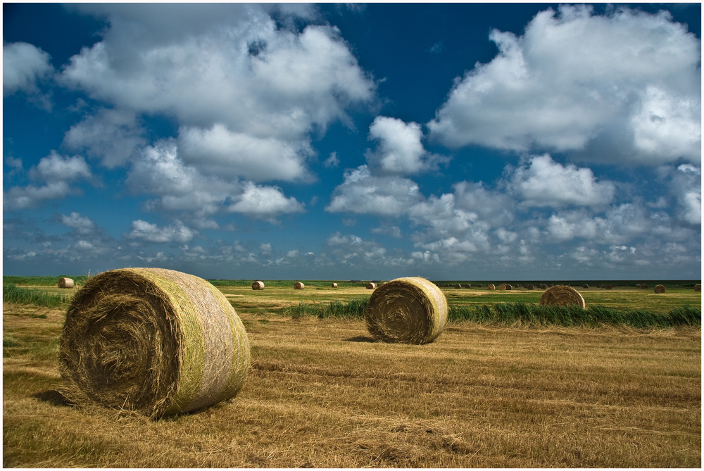 Sylt Ost 01 Foto & Bild | deutschland, europe, schleswig- holstein ...