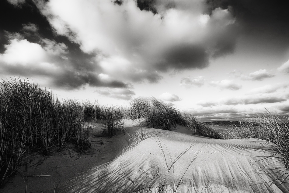 SYLT - Sylter Duenen Foto & Bild | deutschland, europe, schleswig ...