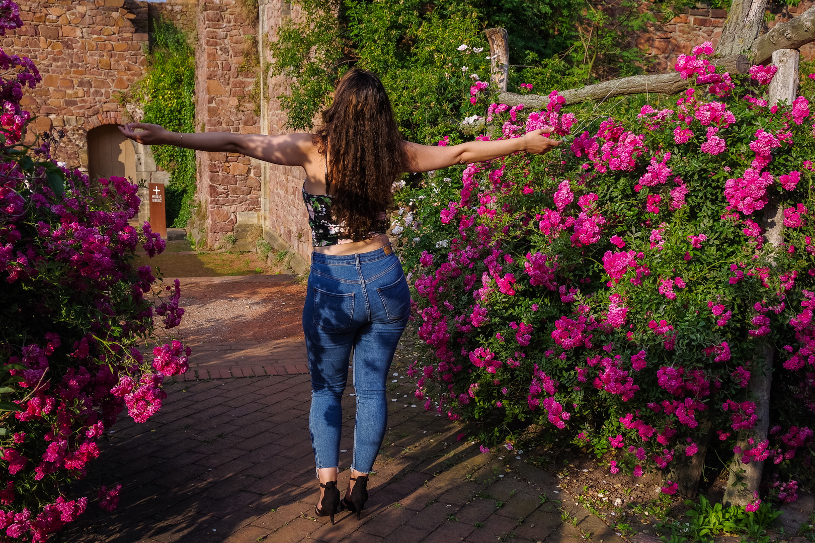 Syrerin 1 Foto & Bild | fotos, natur, pflanzen Bilder auf fotocommunity