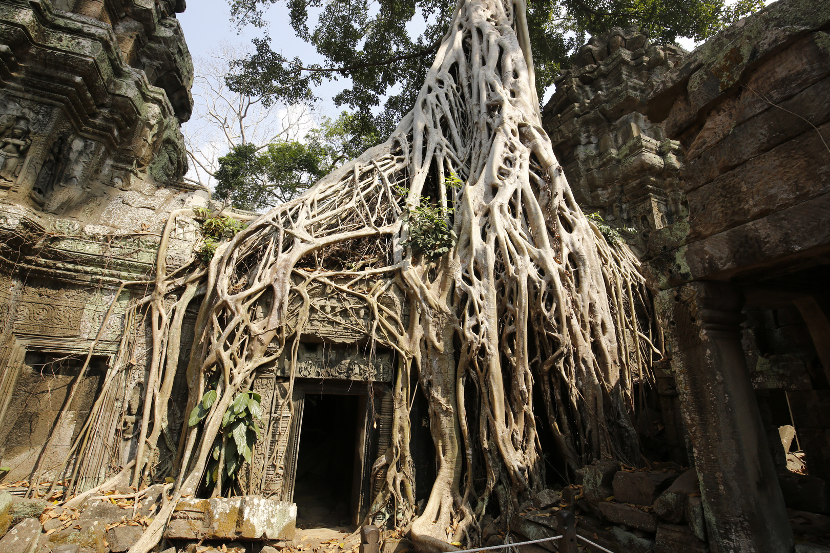 Ta Prohm Foto & Bild | asia, cambodia, southeast asia Bilder auf ...