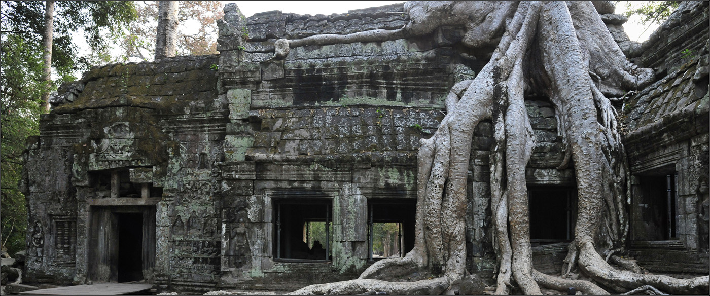 Ta Prohm Foto & Bild | asia, cambodia, southeast asia Bilder auf ...