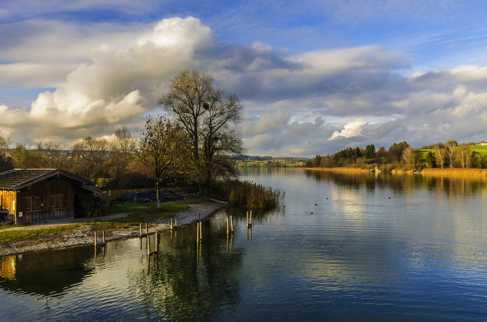 Tachinger See Foto & Bild | landschaft, bach, fluss & see, natur Bilder ...