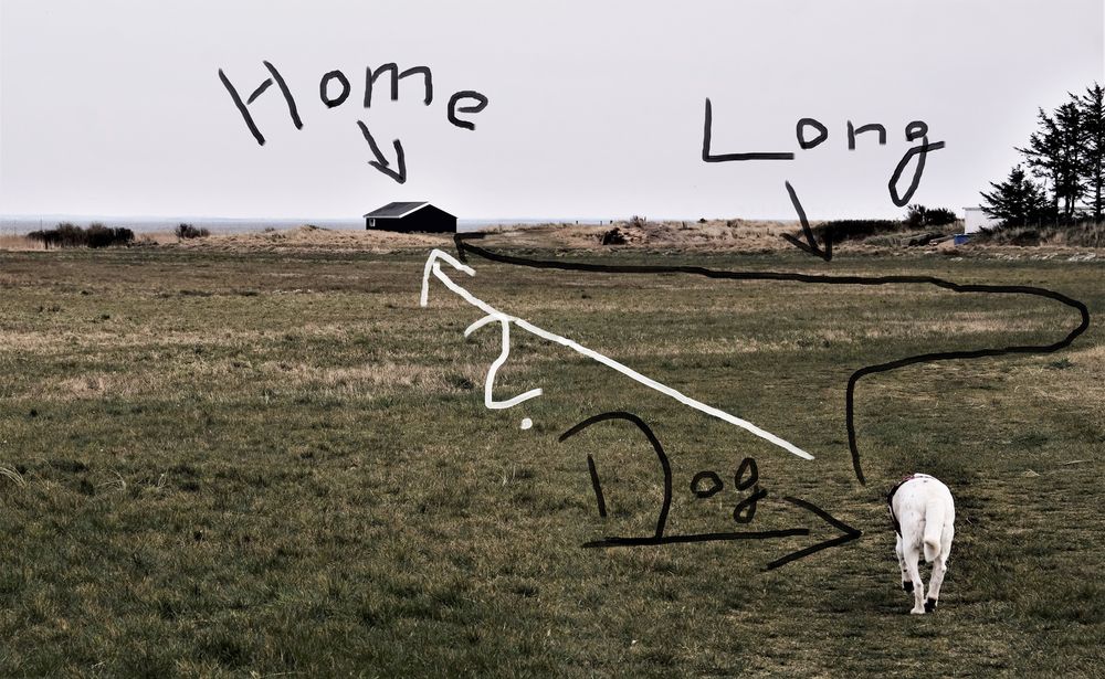 Take the long way home... Foto & Bild | art, world, spezial Bilder auf ...