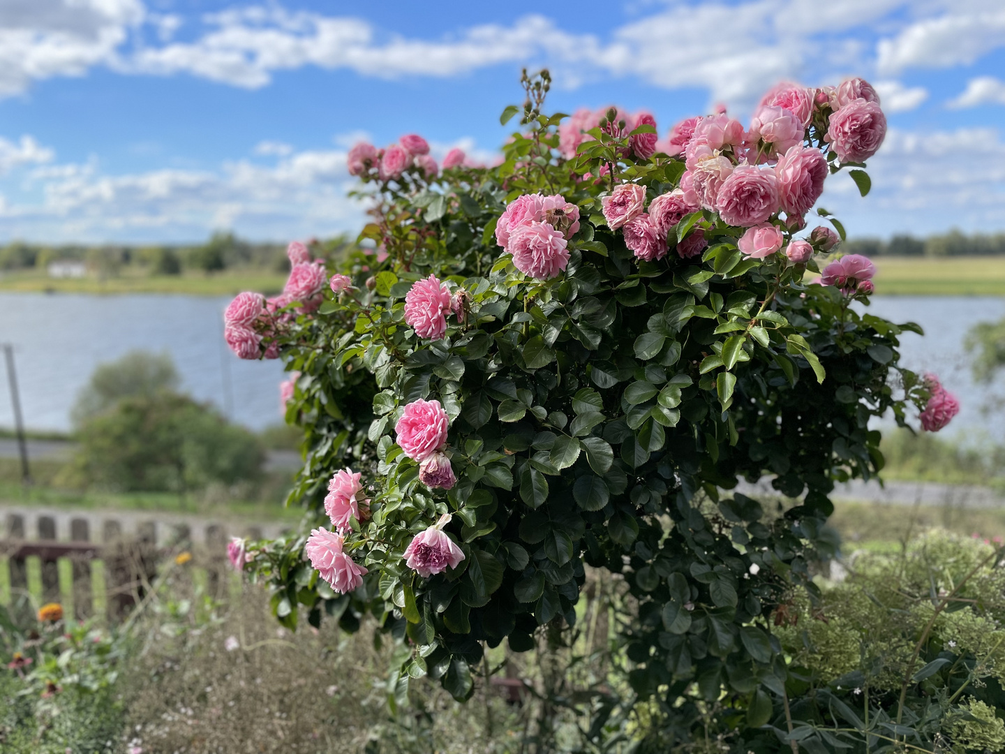 Tal der Liebe - Kaffee trinken bei Beate Foto & Bild | fotos, natur ...