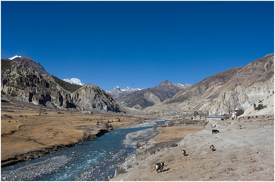 Tal von Manang - Bild & Foto von Maik74 aus Reisebilder - Fotografie ...