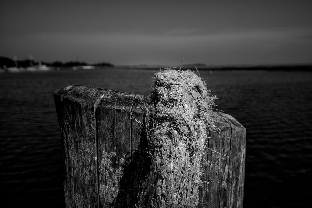 Tampen Foto & Bild | monochrom, bearbeitungs - techniken, fotos Bilder auf fotocommunity