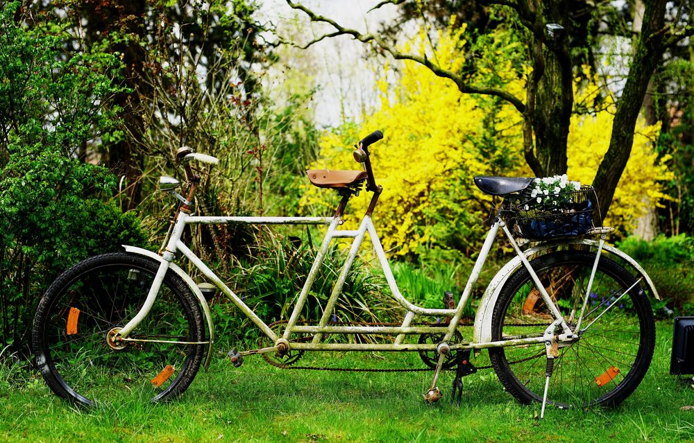 Tandem------. Foto & Bild | fotos, outdoor, natur Bilder auf fotocommunity