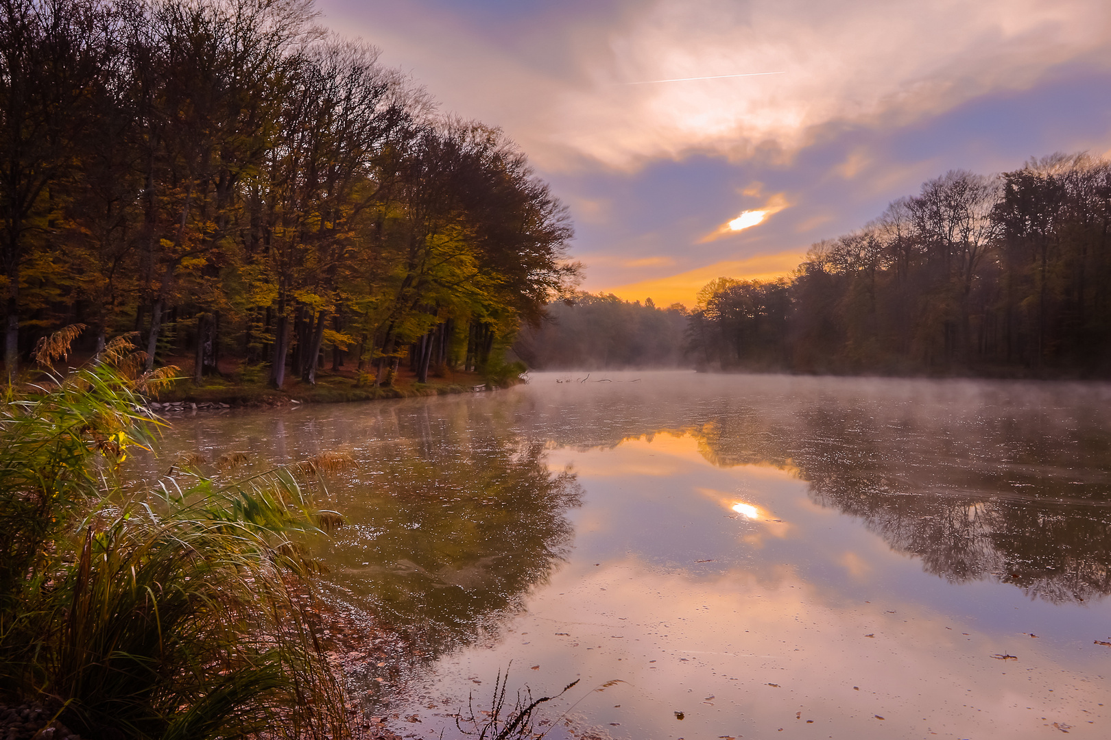 Étang brumeux photo et image | divers, la nature simplement, Étangs ...