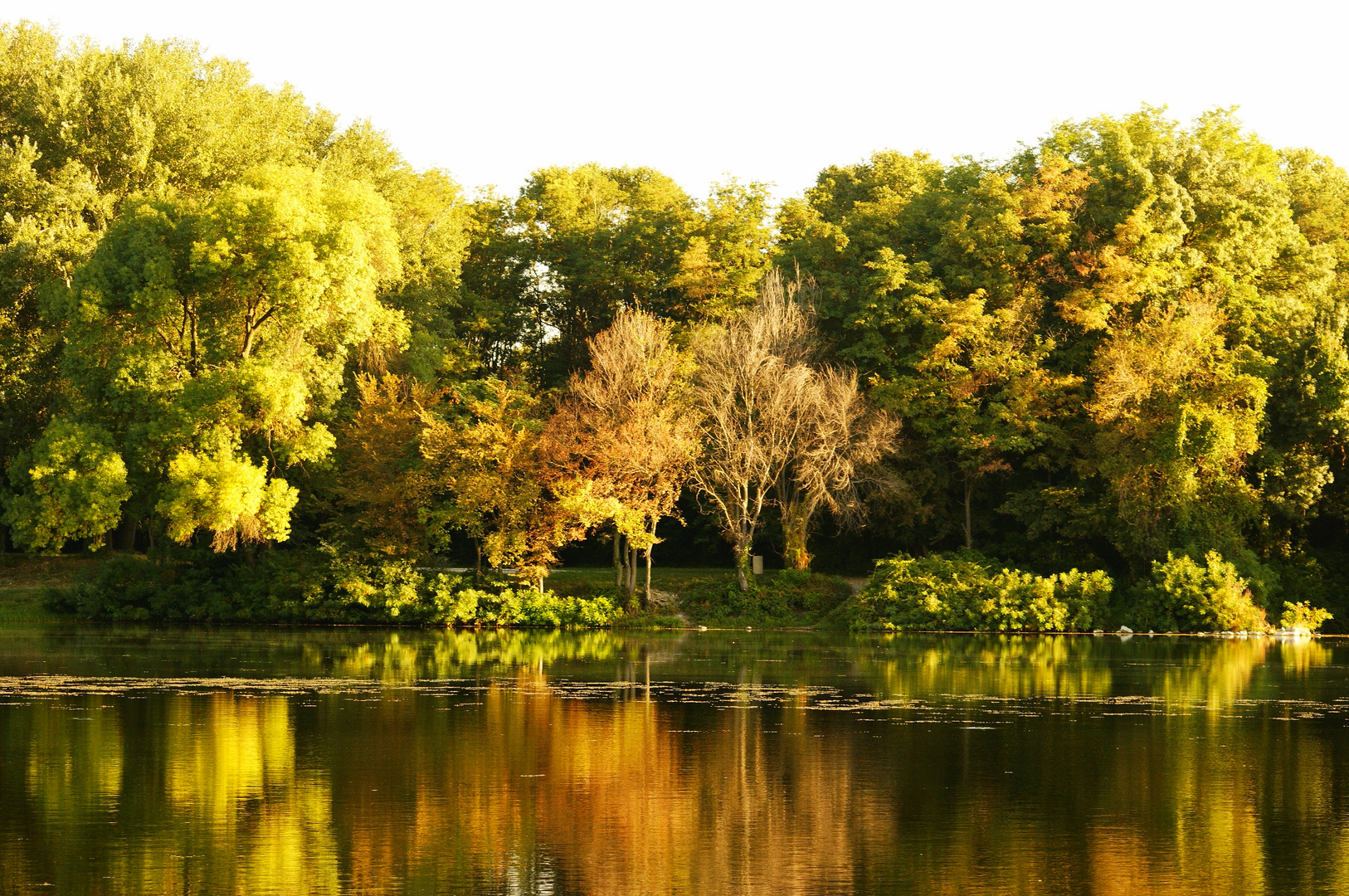 Étang de Caderousse photo et image | paysages, lacs, rivières, cascades ...