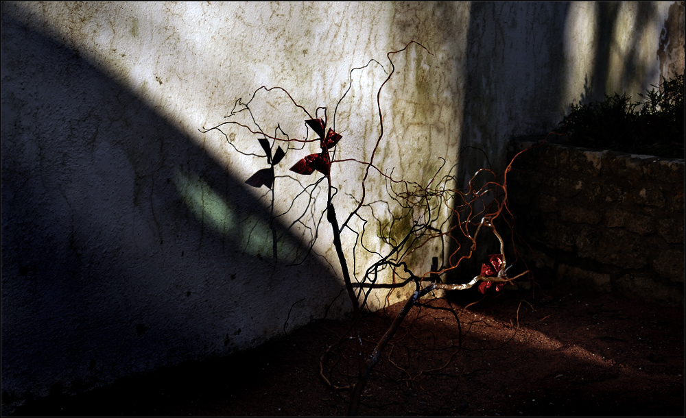 Tanka Foto & Bild | stillleben, zufällige arrangements, verschiedenes ...