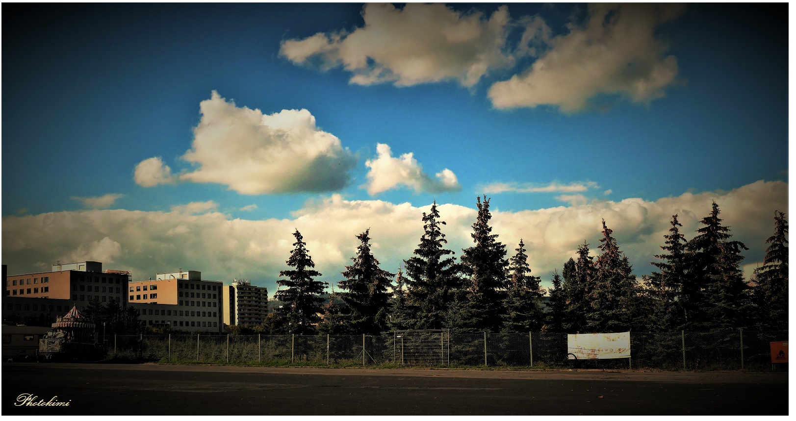 Tannenbäume am Stadtrand Foto & Bild | pflanzen, pilze & flechten ...