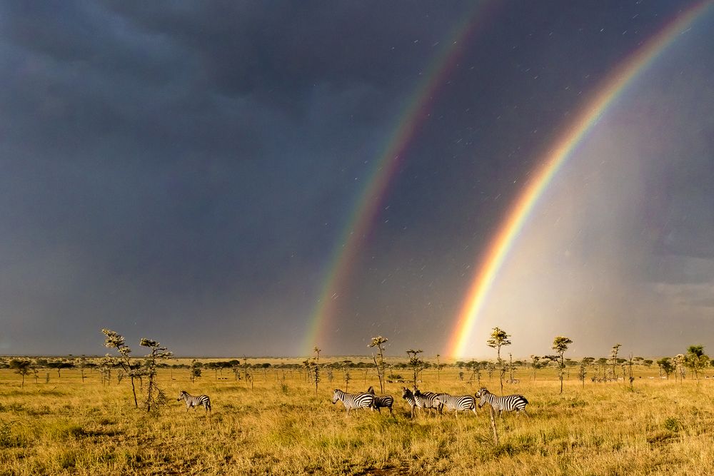 Tansania [11] Foto & Bild | africa, serengeti, ostafrika Bilder auf ...