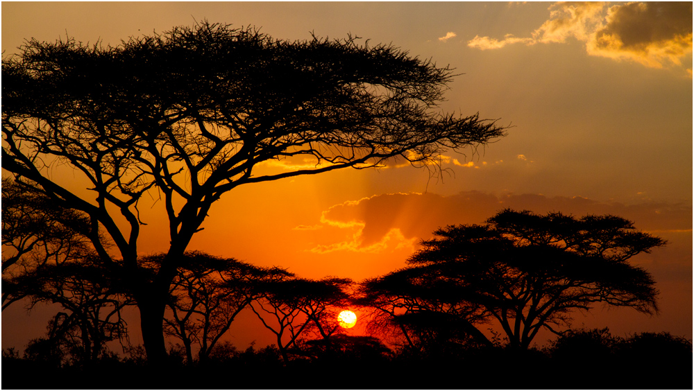 Tansania - 118 Foto & Bild | africa, eastern africa, tanzania Bilder ...