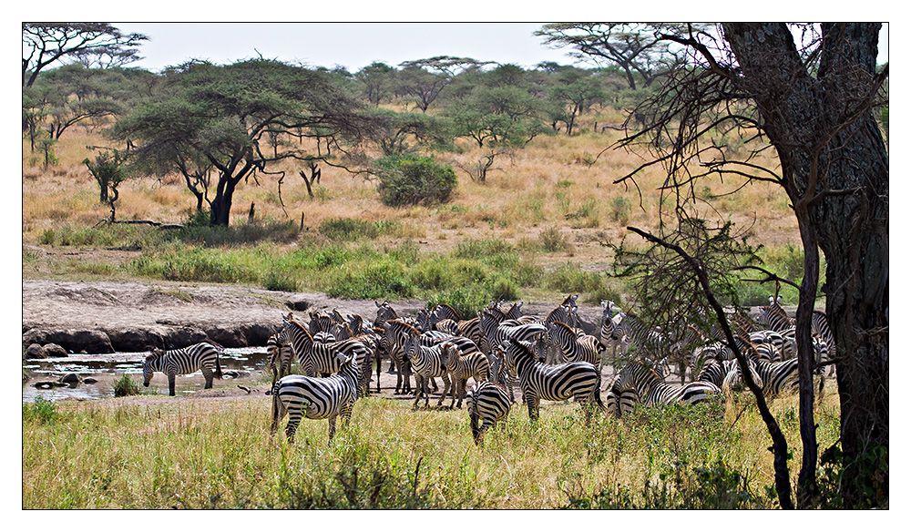 Tansania - 155 Foto & Bild | africa, eastern africa, tanzania Bilder ...