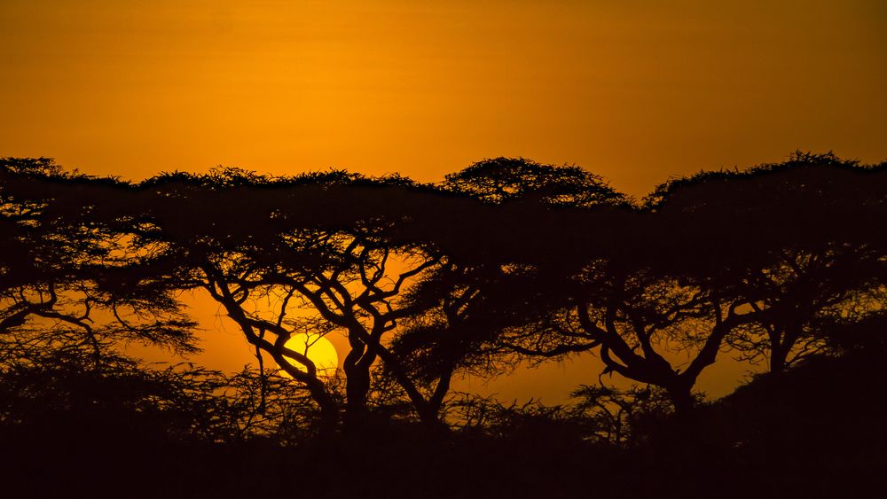 Tansania [180 ] Foto & Bild | afrika, africa, safari Bilder auf ...