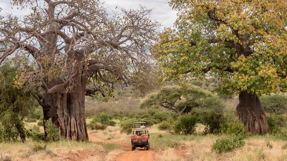 Tansania [28] Foto & Bild | africa, safari, tanzania Bilder auf ...