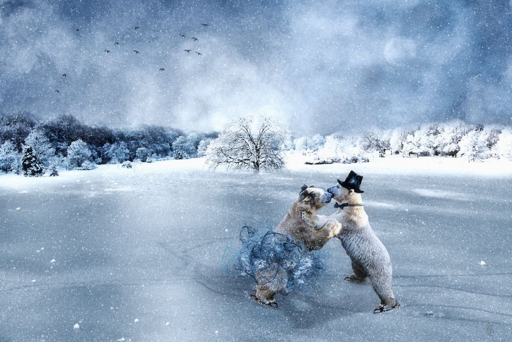 Tanzbären im Winter Foto & Bild | fotomontage, landschaften, composing Bilder auf fotocommunity