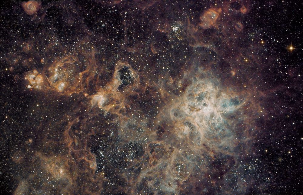 Tarantel-Nebel Foto & Bild | astrofotografie, himmel & universum ...