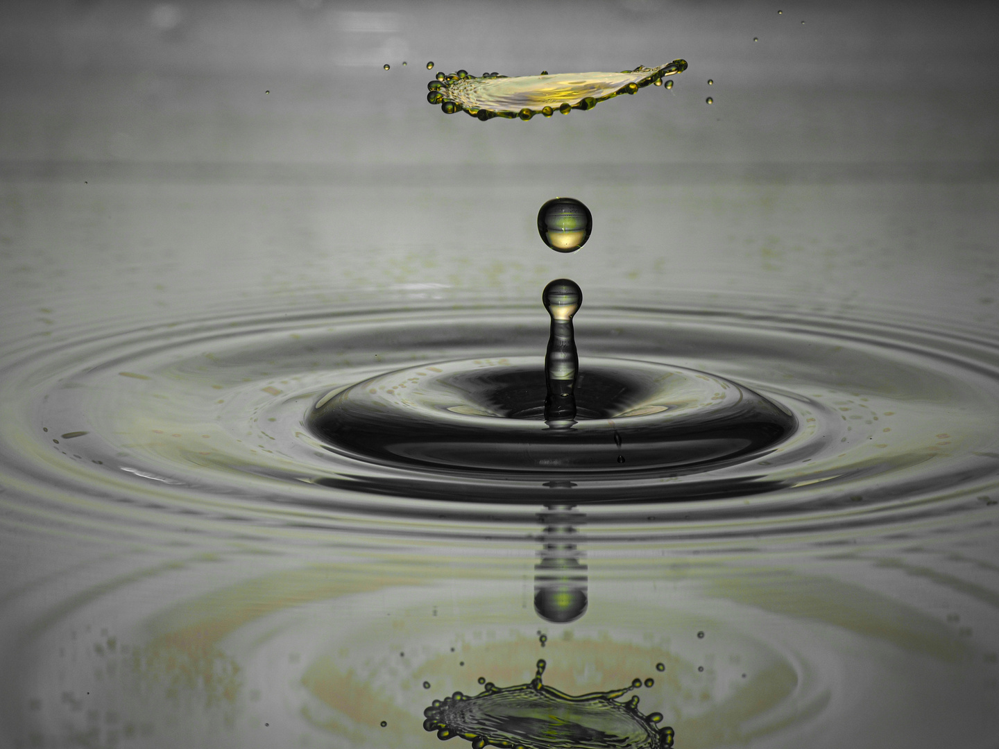 TAT 8 Foto & Bild | fotos, art, spezial Bilder auf fotocommunity