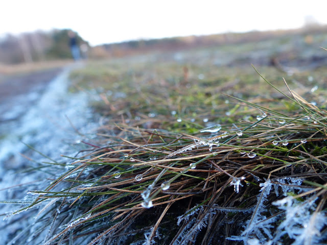 tau Foto & Bild | sonstiges, wasser im detail, wasser Bilder auf ...