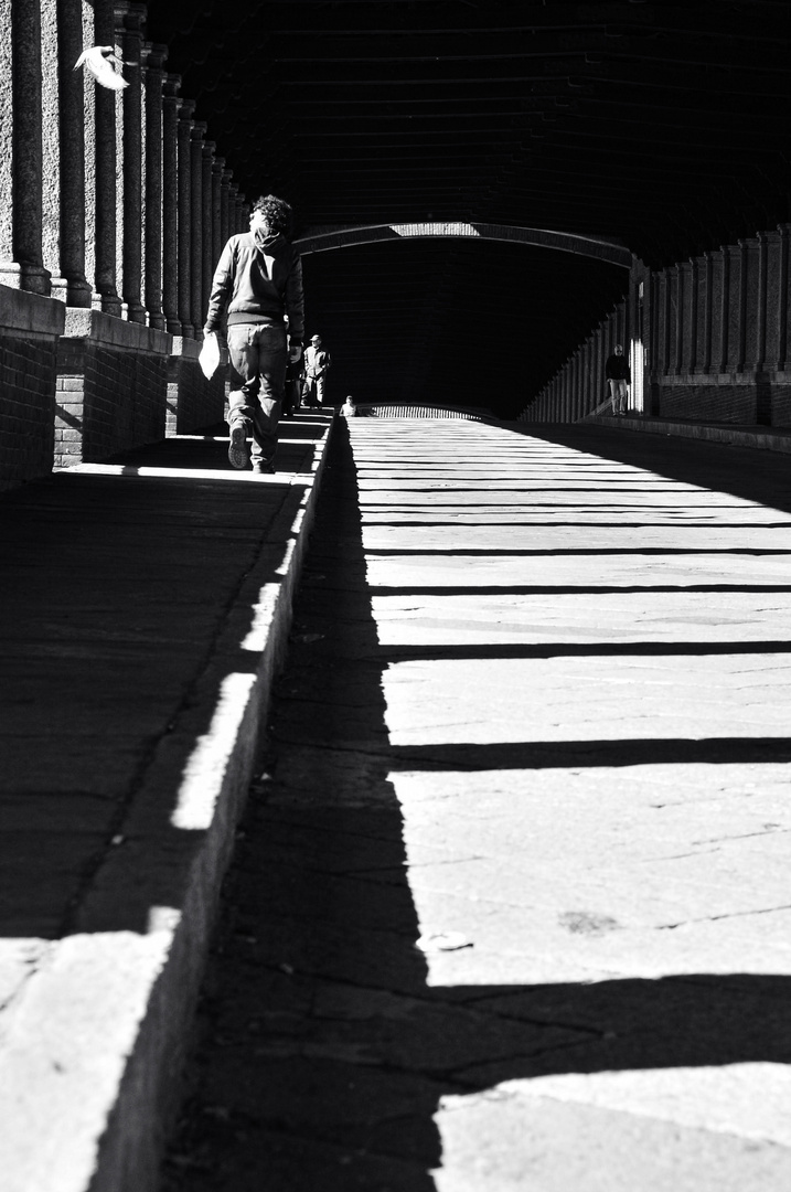 Taubenangriff Foto & Bild | streetfotografie mit menschen, fotokunst, monochrome fine art Bilder ...