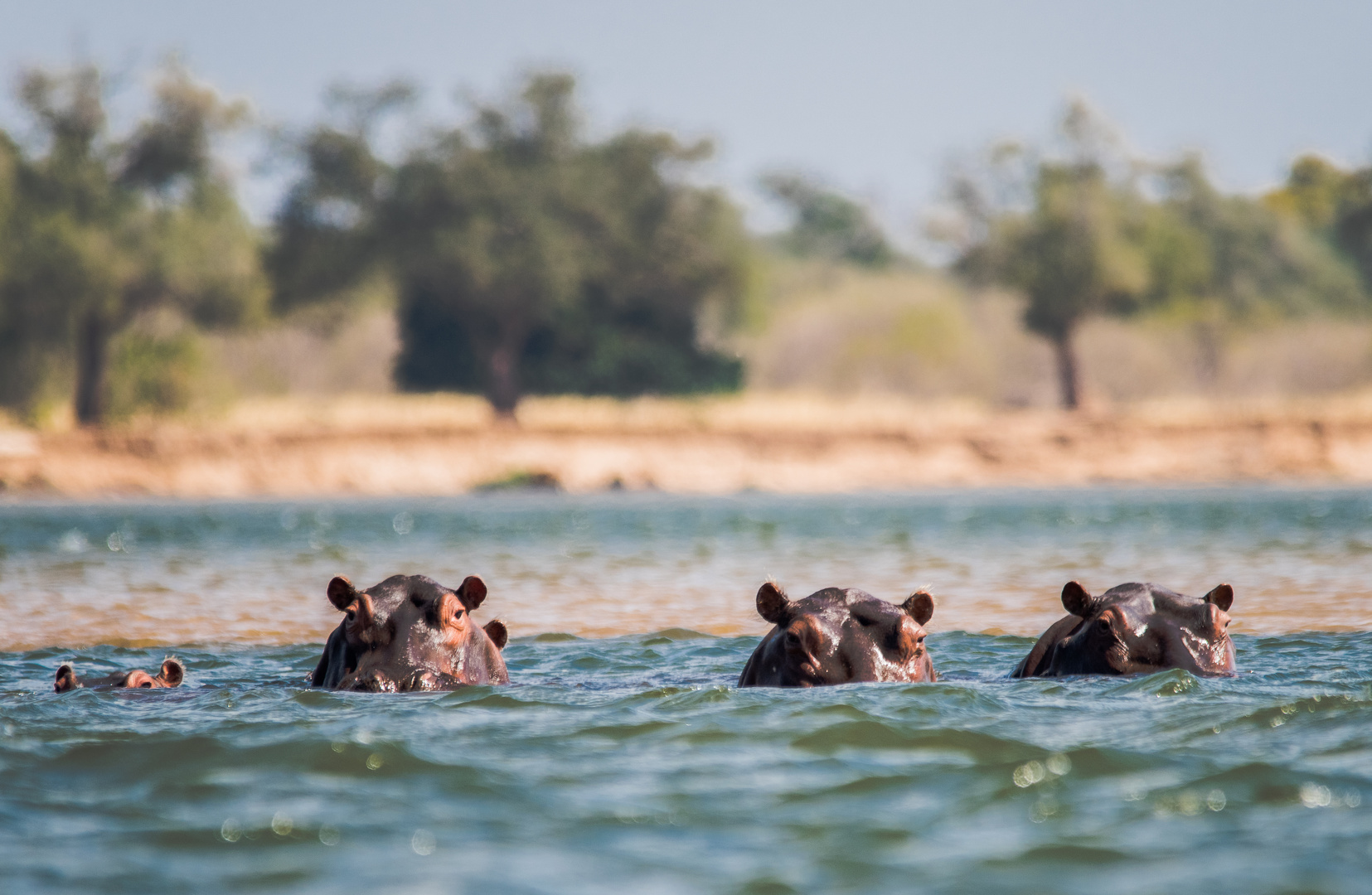 Tauchstation Foto & Bild | nikon, world, wasser Bilder auf fotocommunity