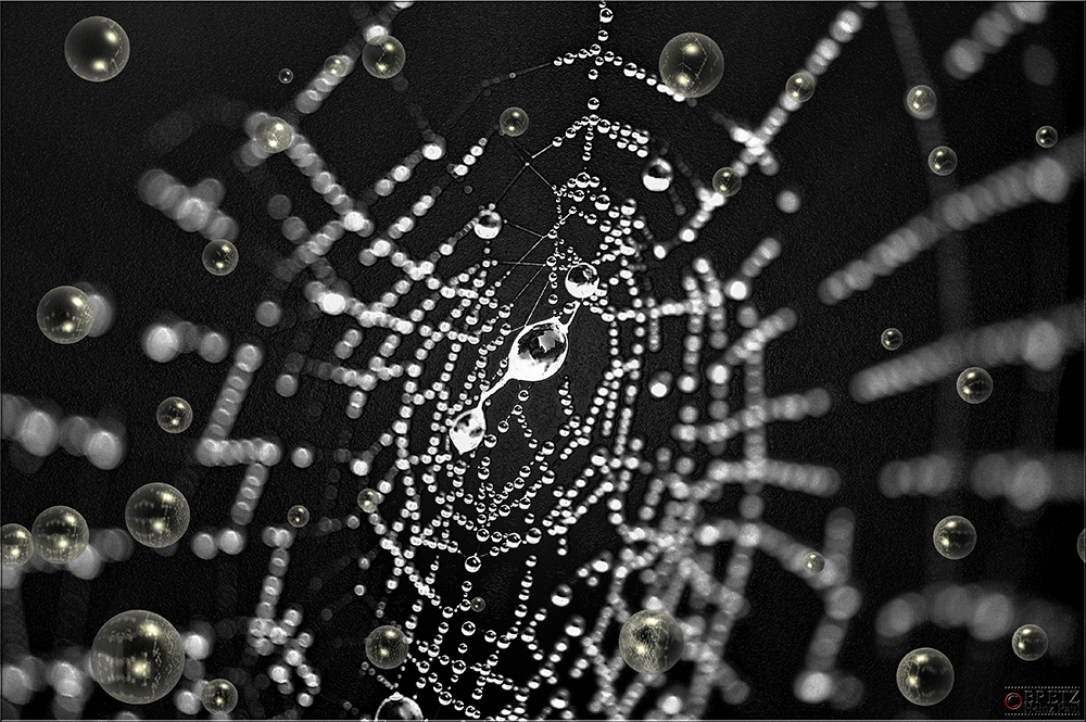 Tautropfgeschmeide Foto & Bild | bearbeitungs - techniken, filtertechniken, digiart Bilder auf ...