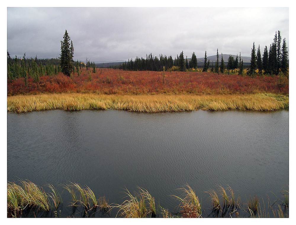 Taylor Highway Foto & Bild | north america, united states, alaska ...