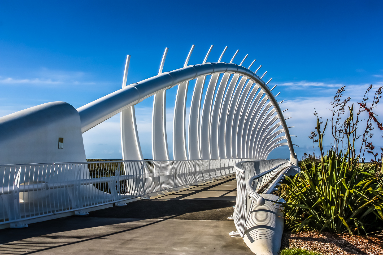 Te Rewa Rewa Bridge, New Plymouth, Neuseeland Foto & Bild | world ...