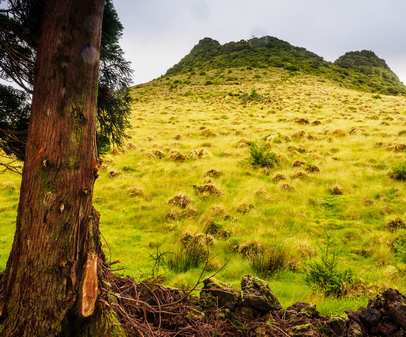 Teceira (Azoreninsel) - Blick auf den Kraterrand Foto & Bild ...