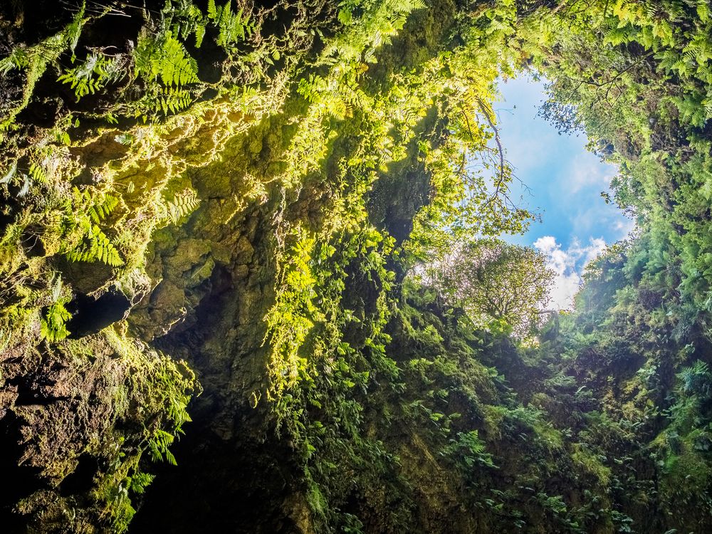 Teceira (Azoreninsel) - Lavahöhle Algar do Cavao Foto & Bild ...