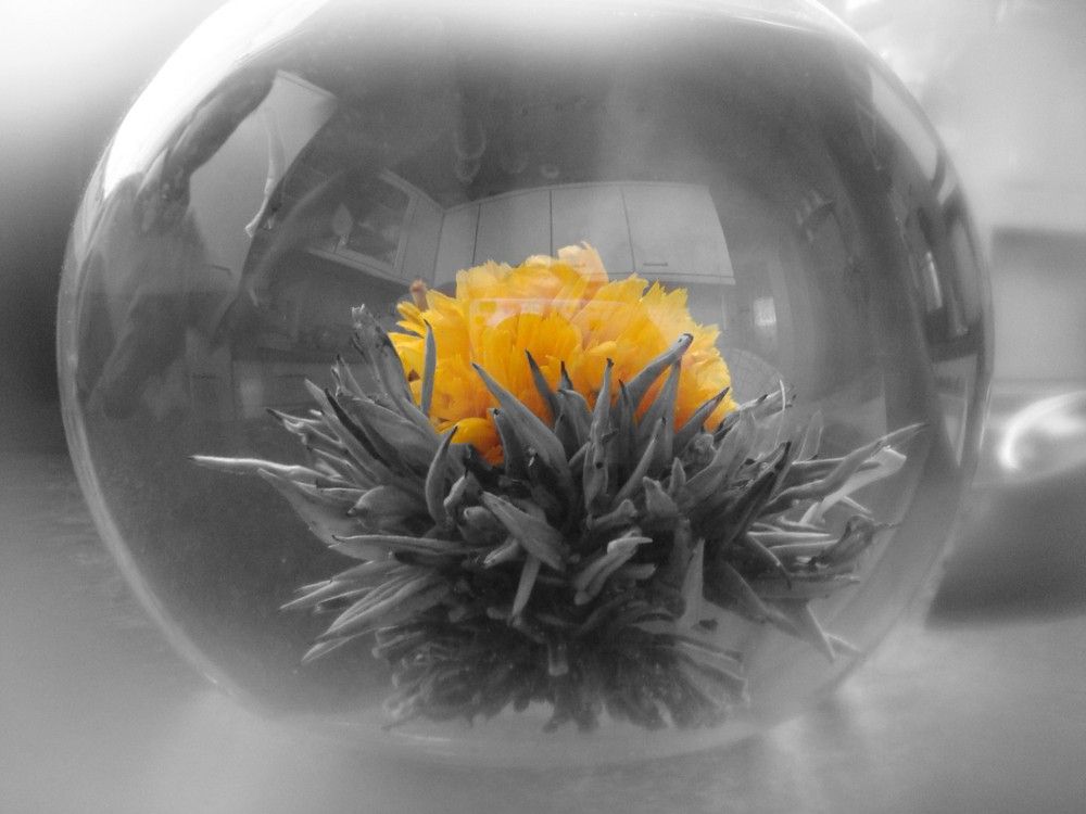 Teeblume Foto & Bild | colorkey, bearbeitungs - techniken, digiart ...