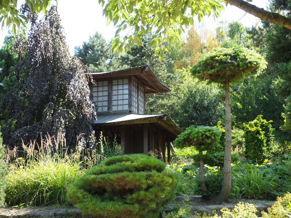 Teehaus Foto & Bild | natur, pflanzen, garten Bilder auf fotocommunity