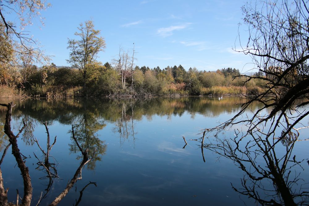 Teich Foto & Bild | landschaft, lebensräume, projekte Bilder auf ...