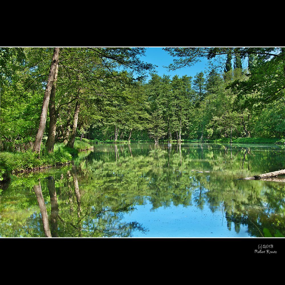 Teich der Angler Foto & Bild | landschaft, bach, fluss & see, see ...