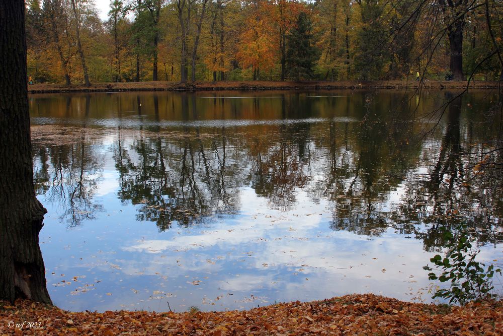 Teich in Herbstfarben Foto & Bild | landschaft, jahreszeiten, herbst Bilder auf fotocommunity