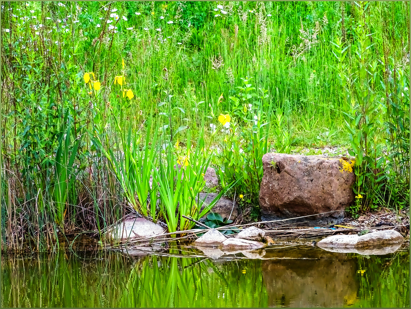 Teichufer Foto & Bild | landschaft, bach, fluss & see, see, teich ...