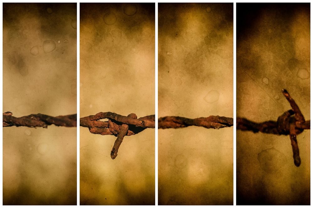 Teilung Foto & Bild | art, world, spezial Bilder auf fotocommunity