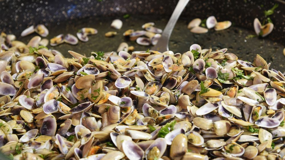 Tellines Foto & Bild | europe, france, provence-alpes-côte d'azur ...