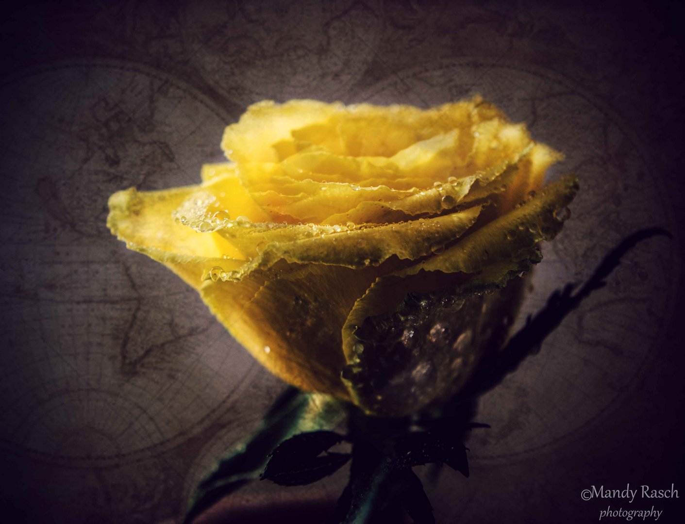 Tempora labuntur tacitisque senescimus annis, et fugiunt freno non ...