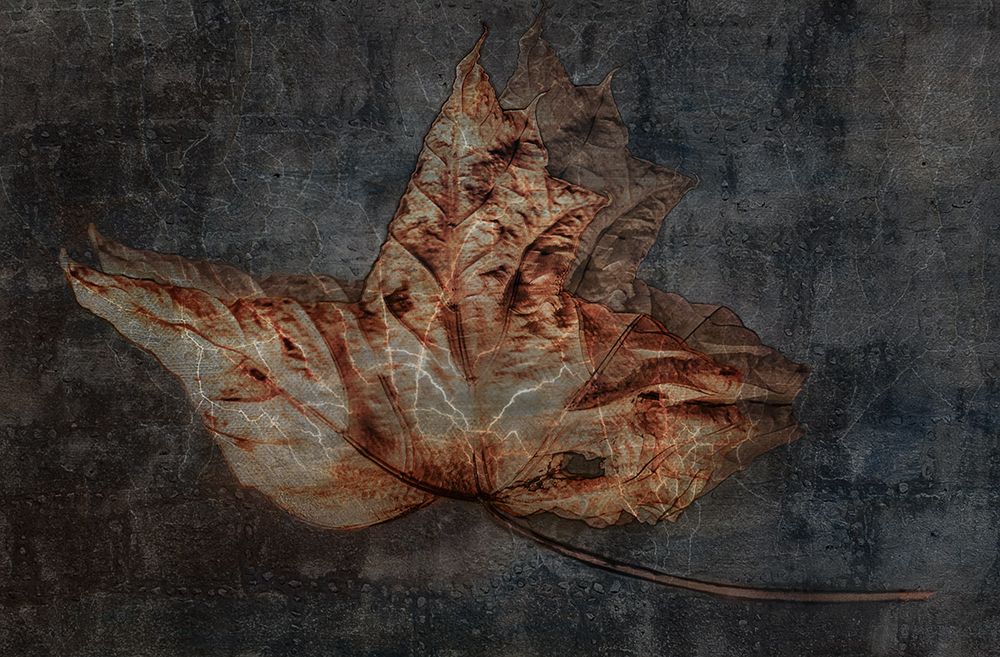 Temporality Foto & Bild | fotokunst, color fine art, morbider charme ...