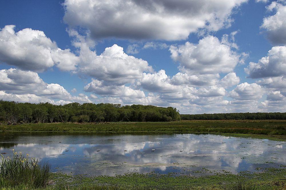 temps nuageux ! photo et image | paysages, ciel, nuages, nature Images ...