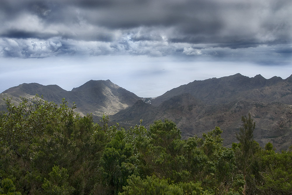 Tenerifa Foto & Bild | archiv projekte naturchannel, naturprojekte 2007 ...