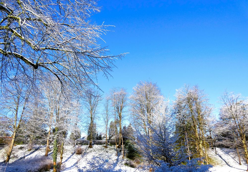 Terassenblick Foto & Bild | landschaft, jahreszeiten, winter Bilder auf fotocommunity